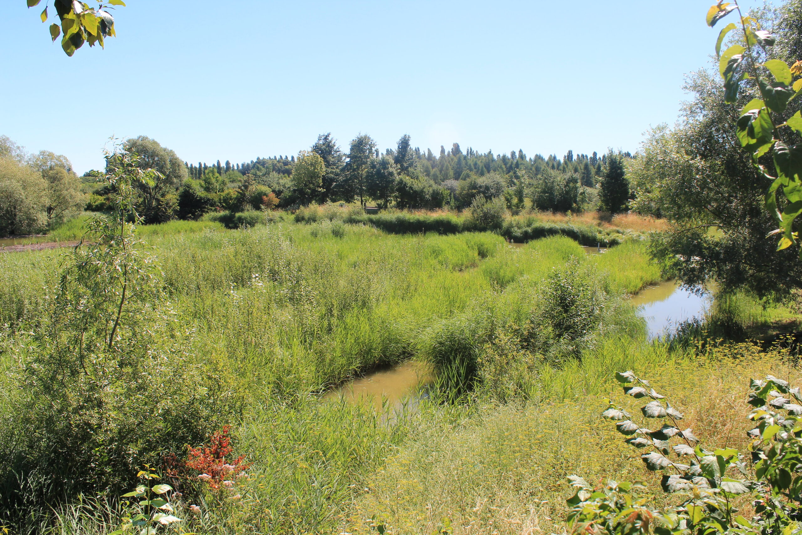 Le SAGE plus qu'un schéma - Sage CEVM